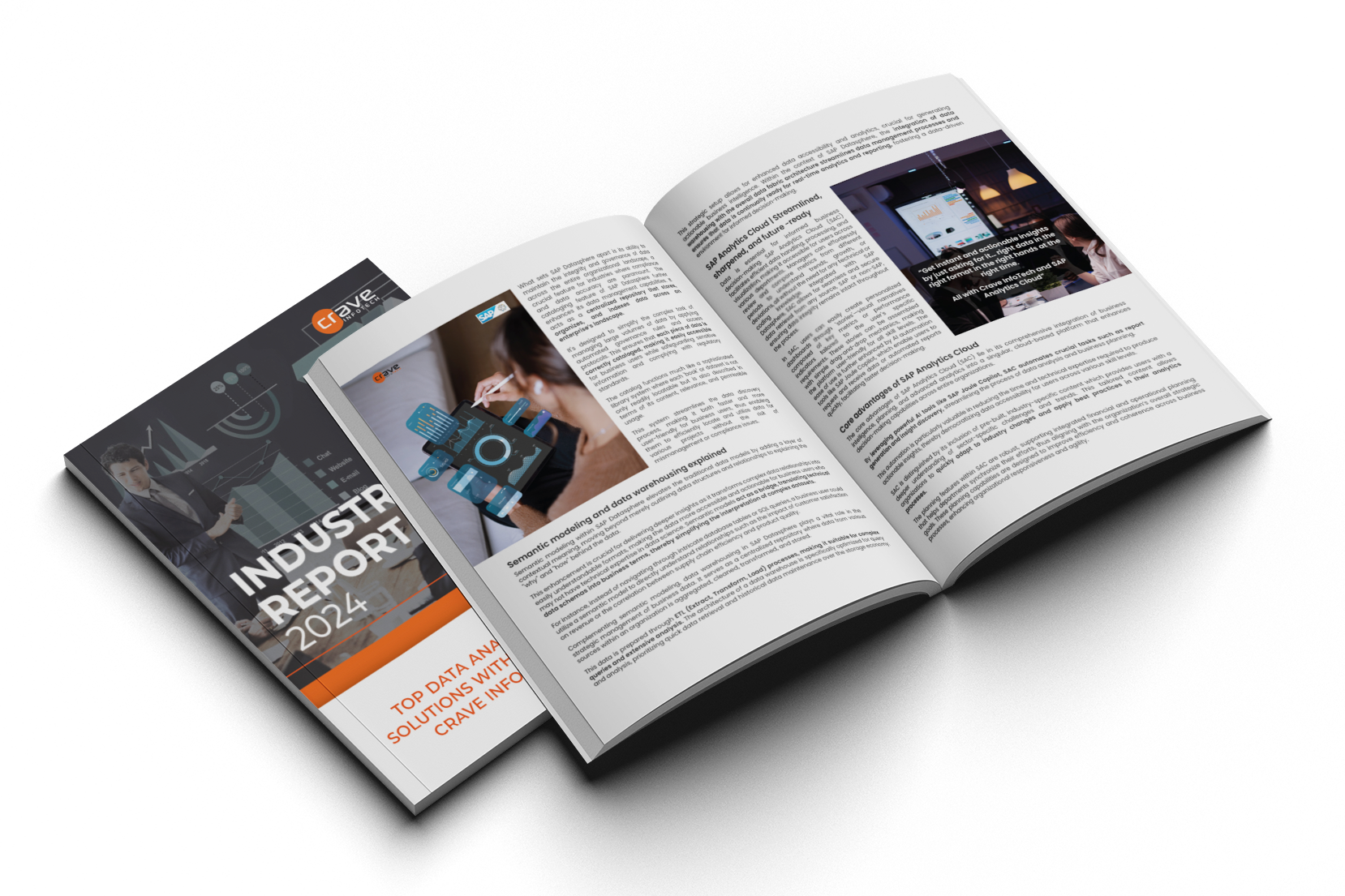 DATA ANALYTICS INDUSTRY REPORT 2024 | Top Data Analytics Solutions with Sap & Crave InfoTech!